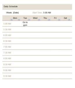 Daily Schedule Template MS Word | Free Word & PDF Templates