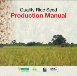 Production Manual Sample | Free Word & PDF Templates