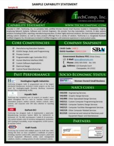 Sample Capability Statement | Free Word & PDF Templates